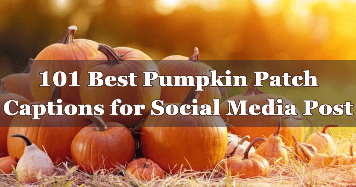 101 Best Pumpkin Patch Captions for Social Media Post